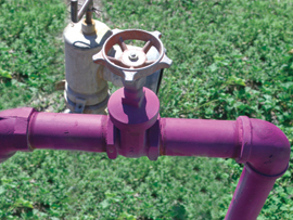Purple-Colored Conservation | Stormwater Solutions