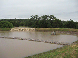 Stream Buffers | Stormwater Solutions
