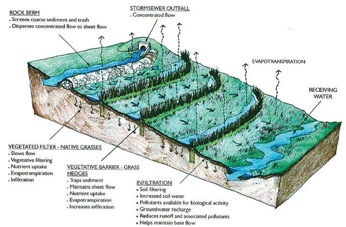 Stream Buffers | Stormwater Solutions
