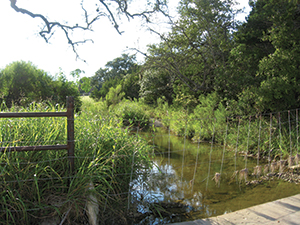 Stream Buffers | Stormwater Solutions