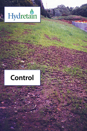 ShowCase | Stormwater Solutions