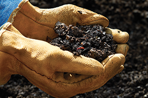 Solutions for Healthy Soil | Stormwater Solutions