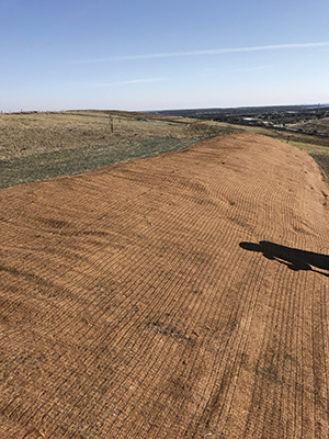 When to Use Turf Reinforcement Mats for Erosion Control | Stormwater ...