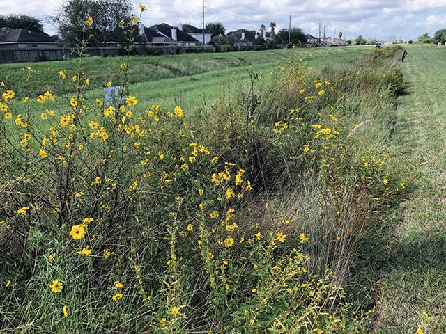 Project Profile: Green Infrastructure Bioswale Project in Harris County ...