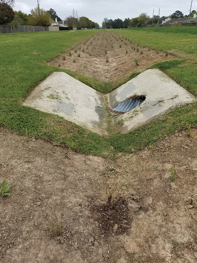 Project Profile: Green Infrastructure Bioswale Project in Harris County ...