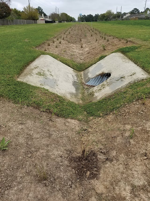 Project Profile: Green Infrastructure Bioswale Project in Harris County ...