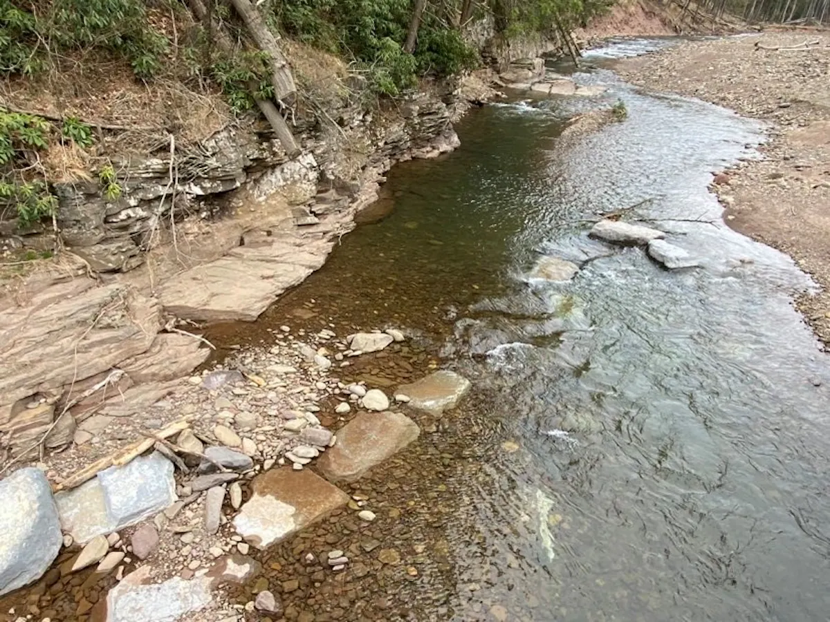Channeling Resilience | Stormwater Solutions