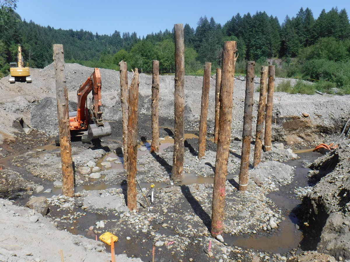 Go, Fish | Stormwater Solutions