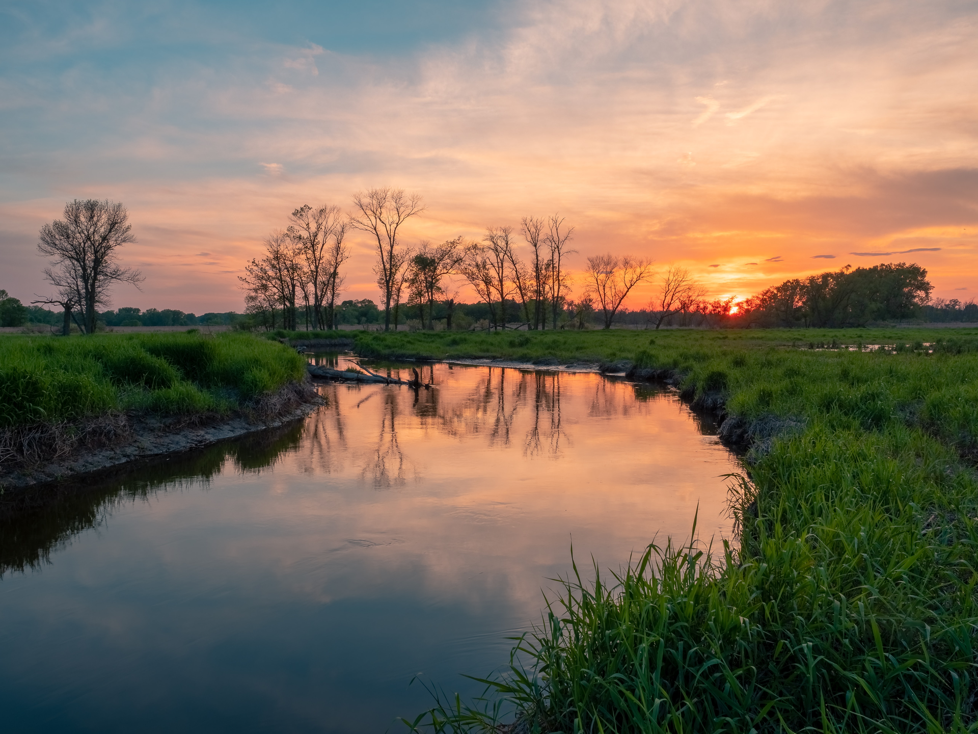 USDA Awards $5 Million to Support Wetland Mitigation Banking ...