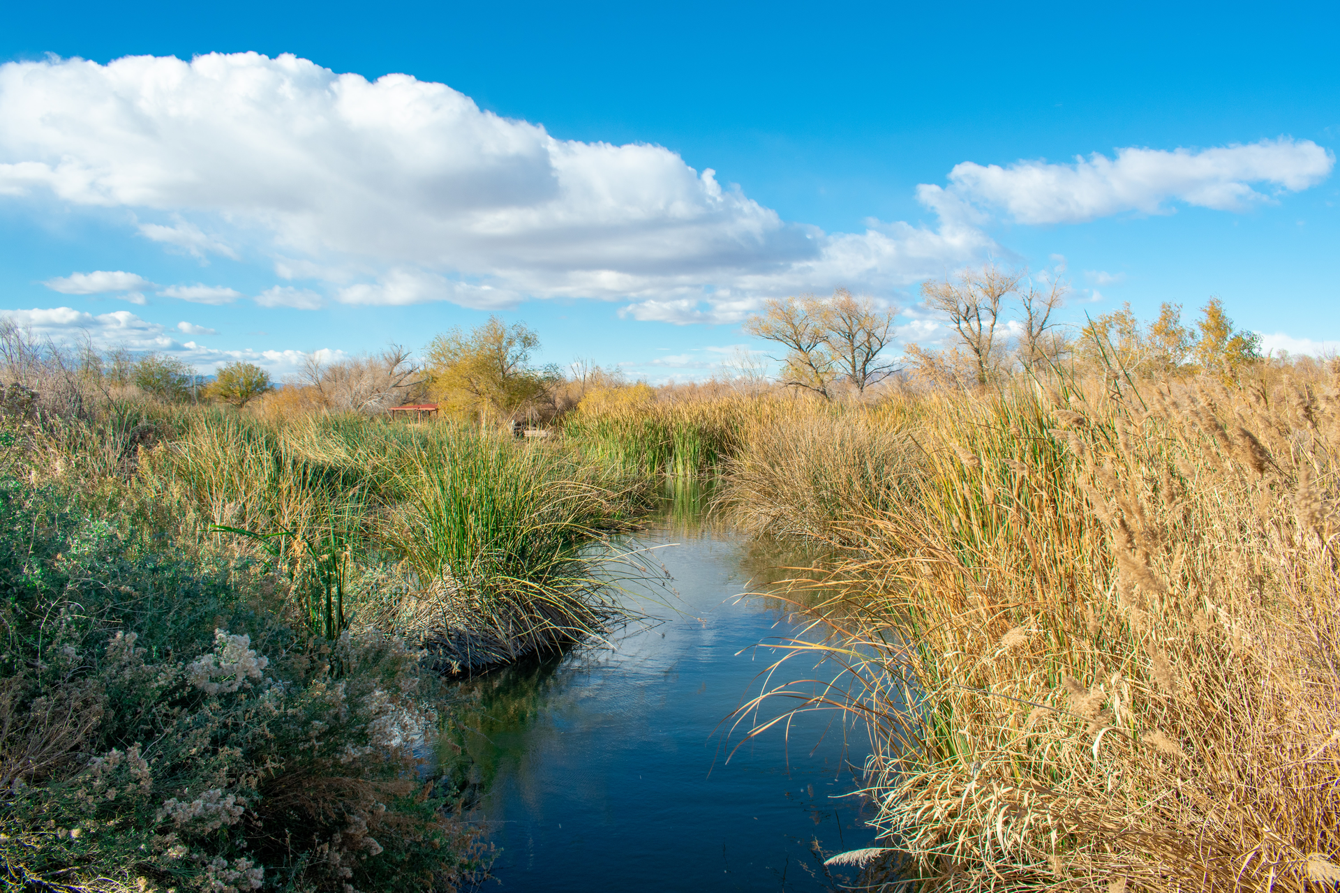 USDA Publishes Conservation Update for Highly Erodible Land and ...