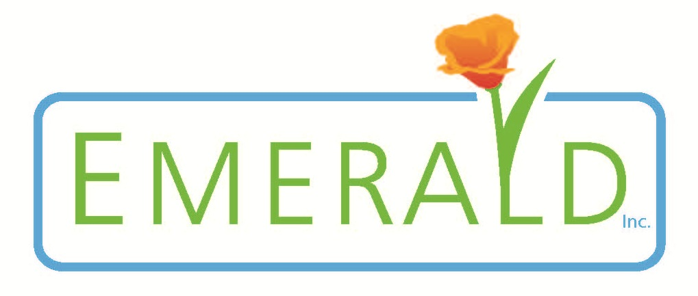 Emerald Site Services | Stormwater Solutions