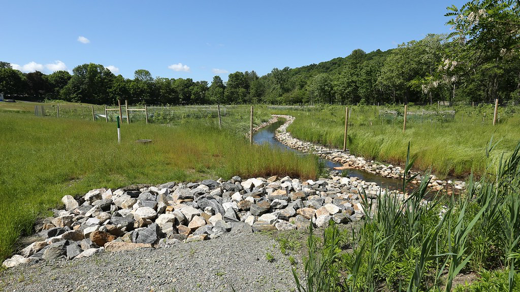 NYC completes stream and wetland restoration project | Stormwater Solutions