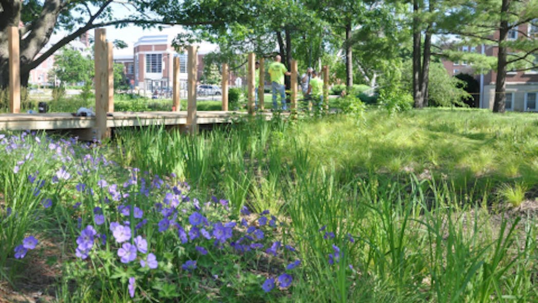Illinois Extension develops green infrastructure with local communities ...