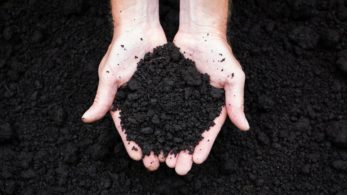 Peat: A Natural Solution for Stormwater Compliance | Stormwater Solutions