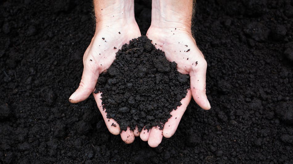 Peat: A Natural Solution for Stormwater Compliance | Stormwater Solutions