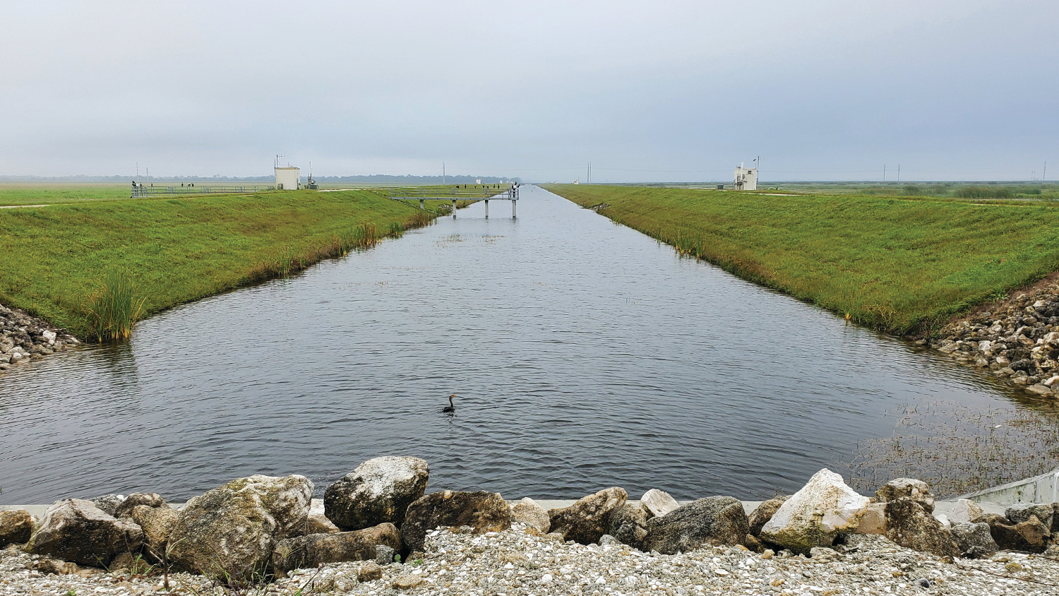 Fla. completes nation's largest constructed wetlands project ...