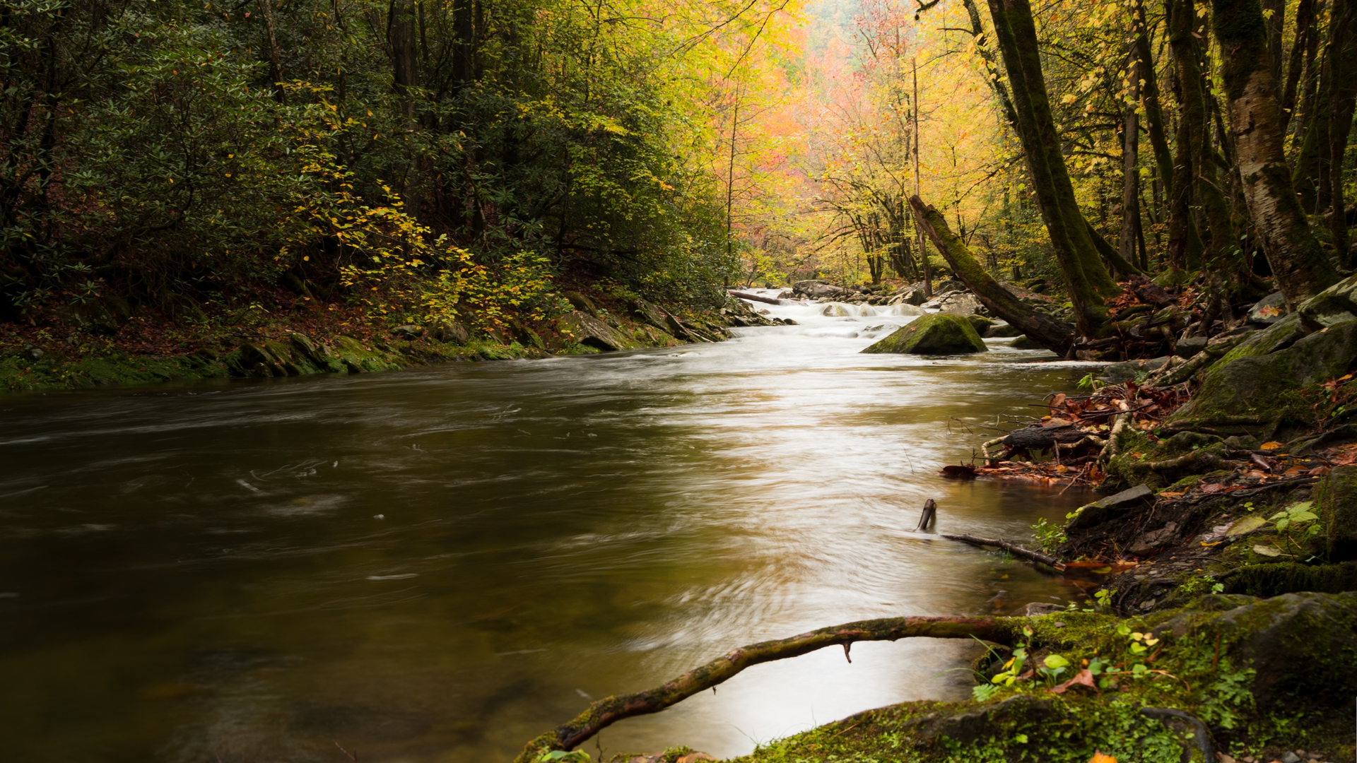 N.H. to award $3.7M in grants for wetland, stream projects | Stormwater ...