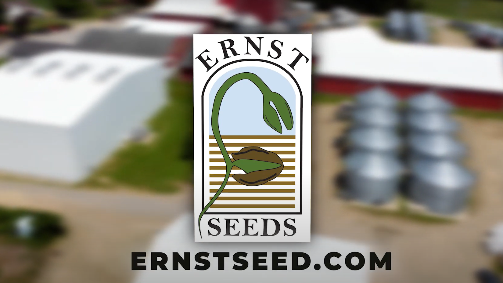 Pollinator Event with Ernst Seeds | Stormwater Solutions