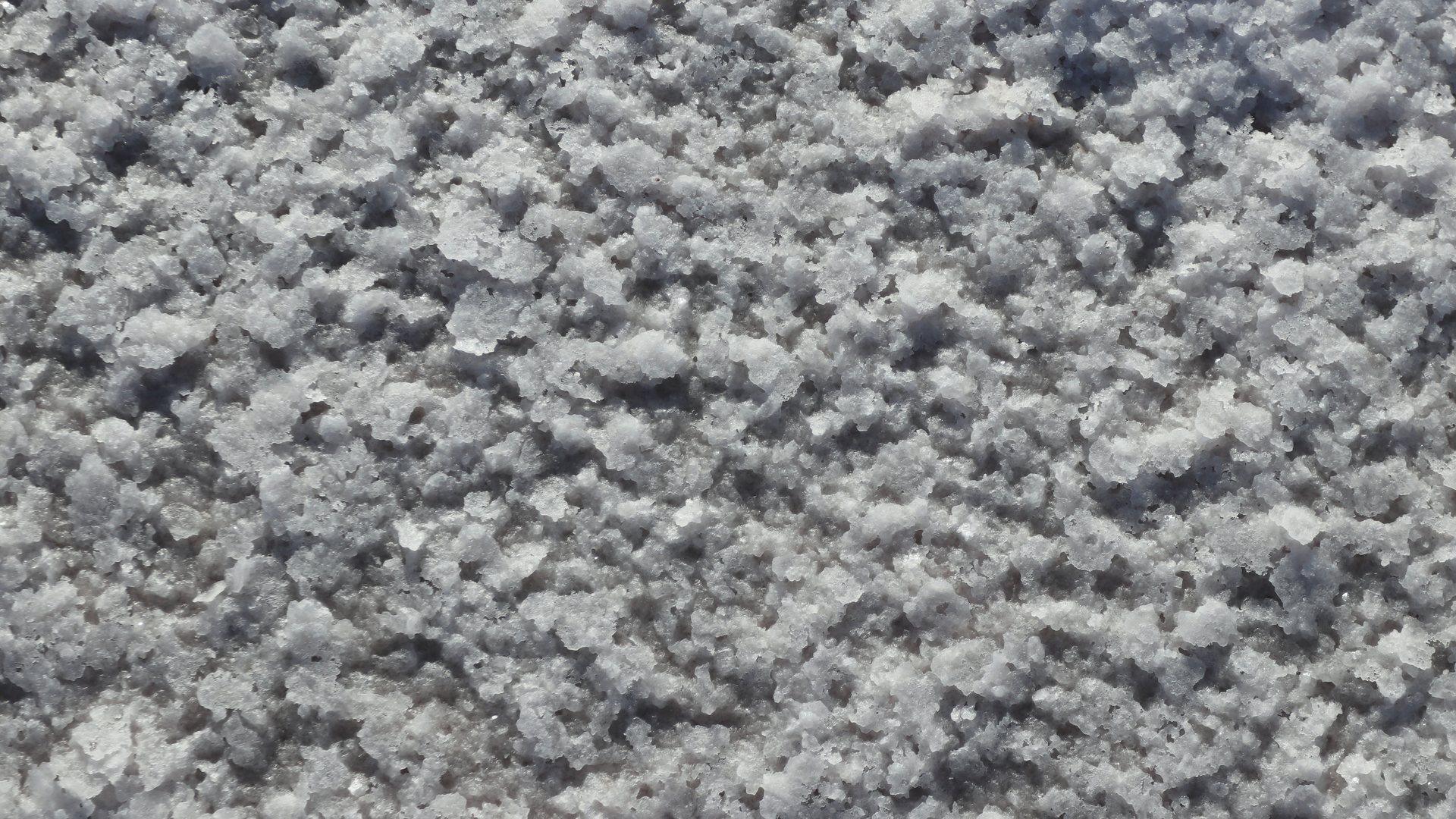 New scoring scale tracks the harmful effects of salt pollution in ...