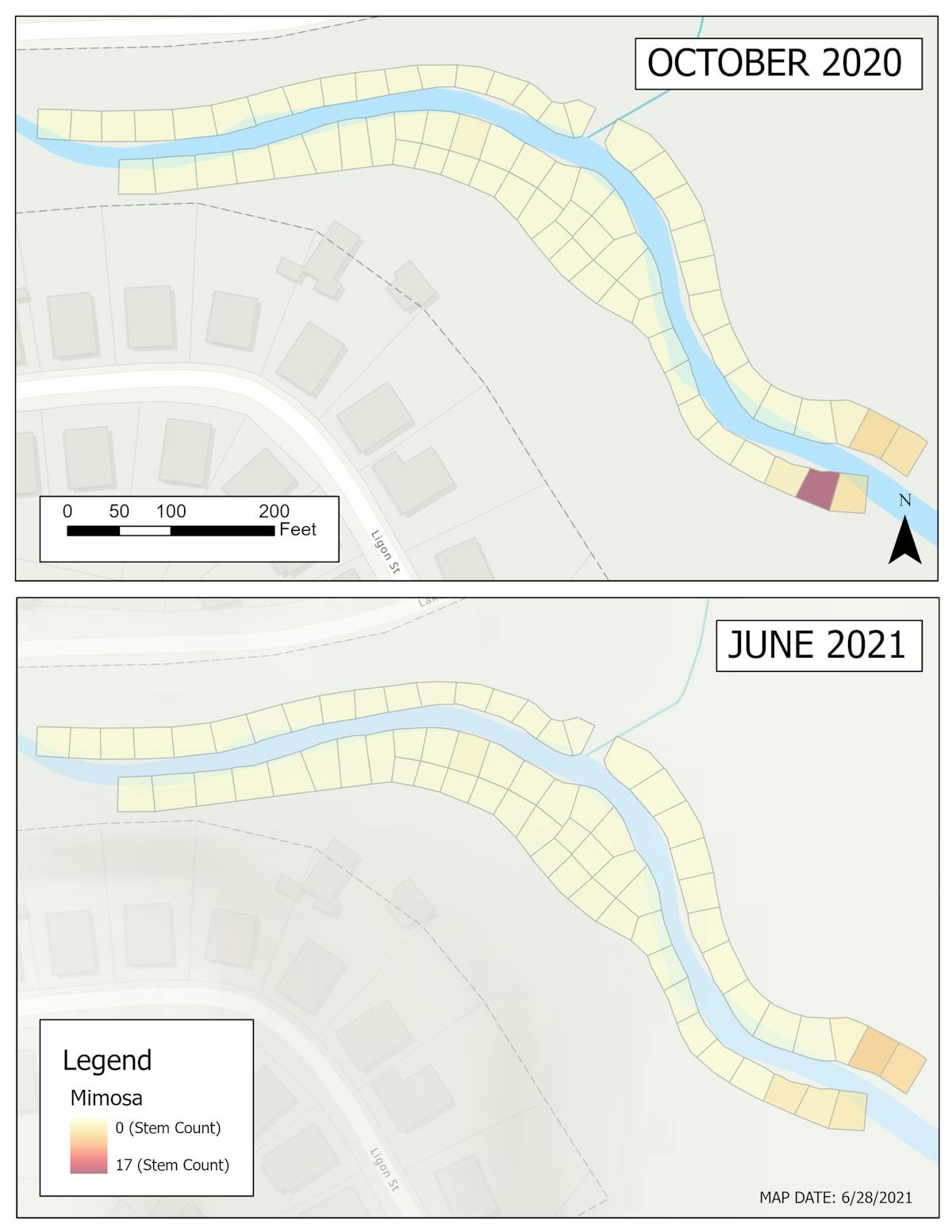 South Carolina County Targeting Invasive Species During Stream ...