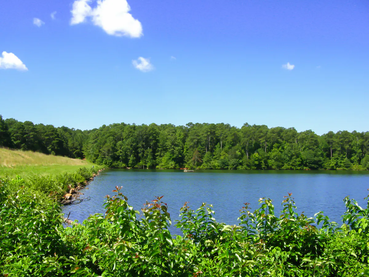 Climate-smart resilient green corridors optimize green infrastructure ...