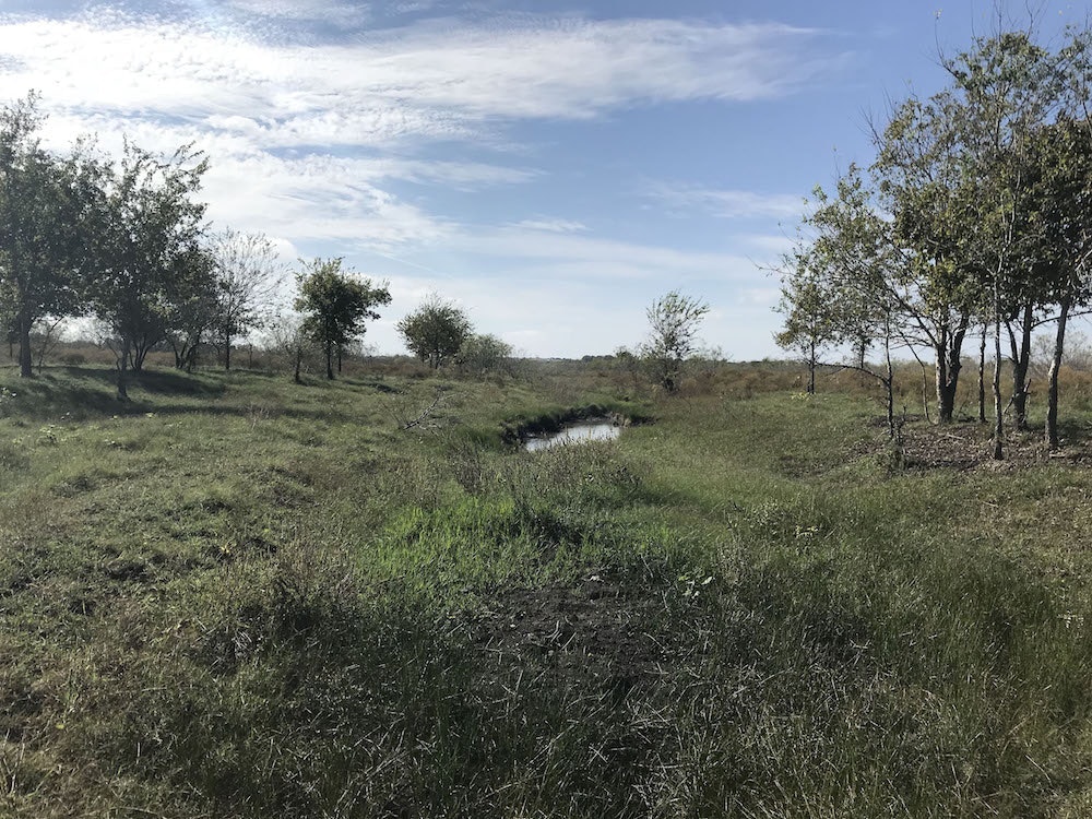 Austin Restores Blackland Prairie with Vegetation | Stormwater Solutions