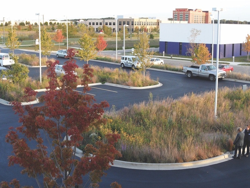 Green Infrastructure & Proper Vegetation | Stormwater Solutions