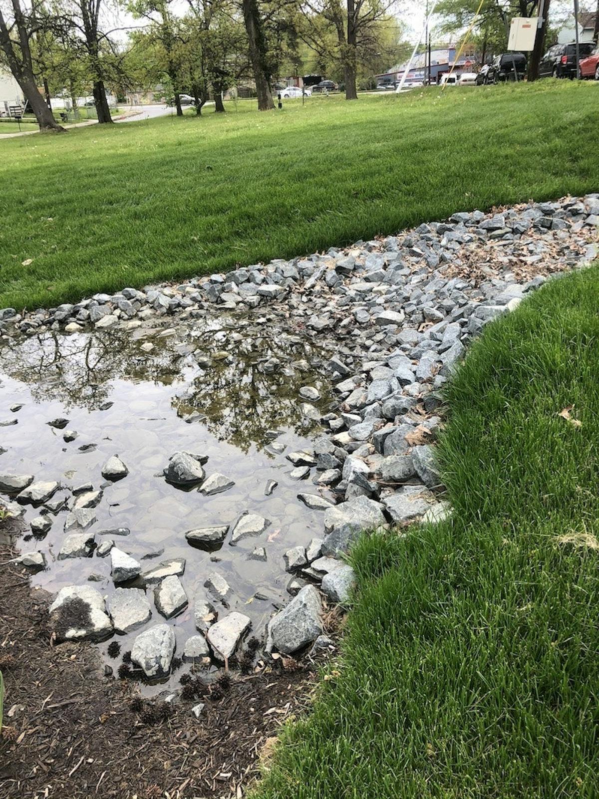 Micro-bioretention Device Helps Infrastructure Improvement Goals ...