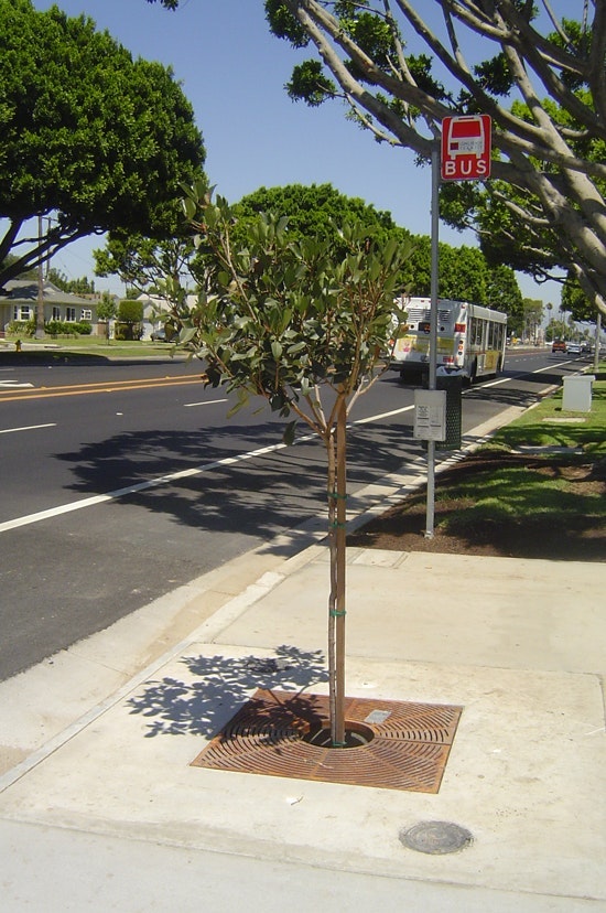Being Green | Stormwater Solutions