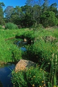 Streamflow Duration Assessment Method Now Available | Stormwater Solutions