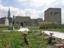 USPS Green Roof is New York City's Largest | Stormwater Solutions