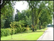 $1.15 Million in Federal Funding Allocated for Wisconsin Environmental ...