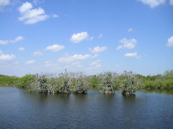 Pollution Cleanup in Florida Everglades Falls on Taxpayers | Stormwater ...