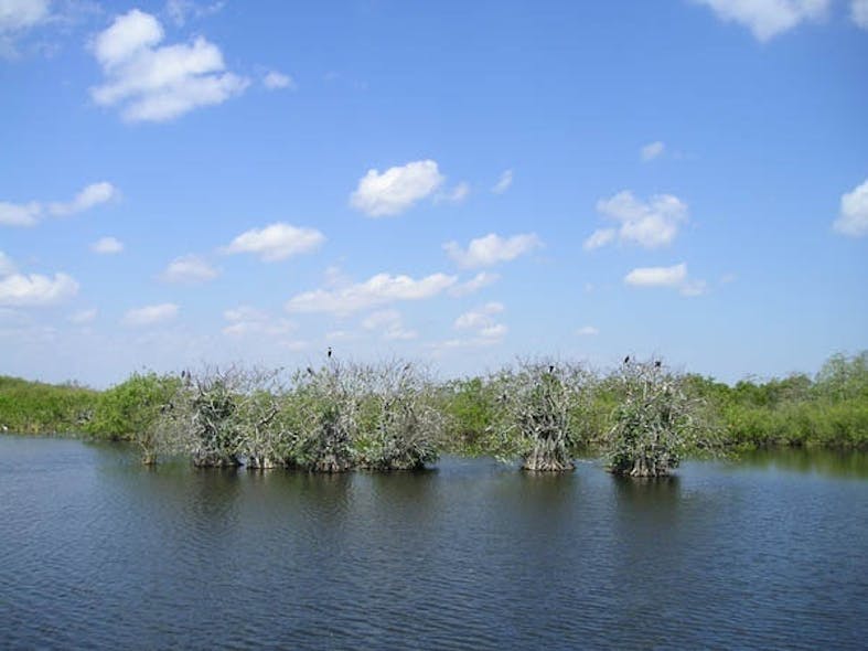 Pollution Cleanup in Florida Everglades Falls on Taxpayers | Stormwater ...