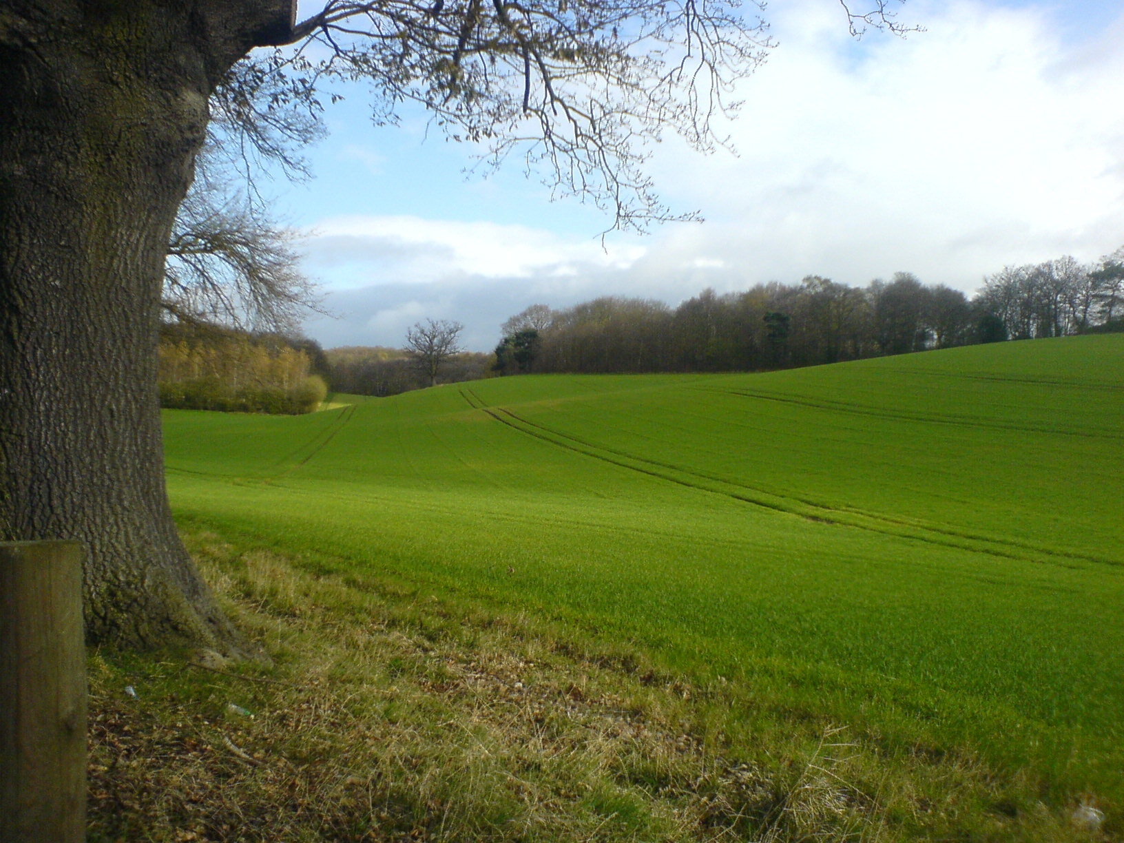 Guide to Stimulate Natural Infrastructure Investment Released ...