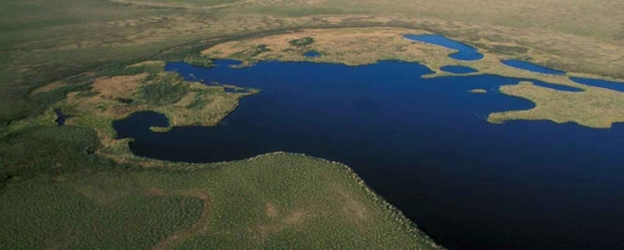 EPA Awarding Grants to Protect & Restore Wetlands | Stormwater Solutions