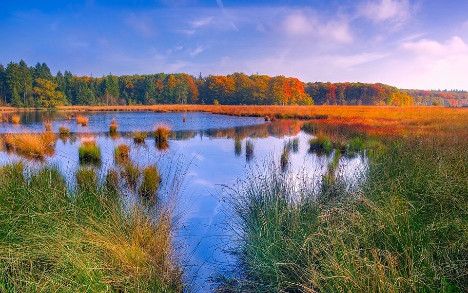 Cape May Marsh Restoration Underway | Stormwater Solutions