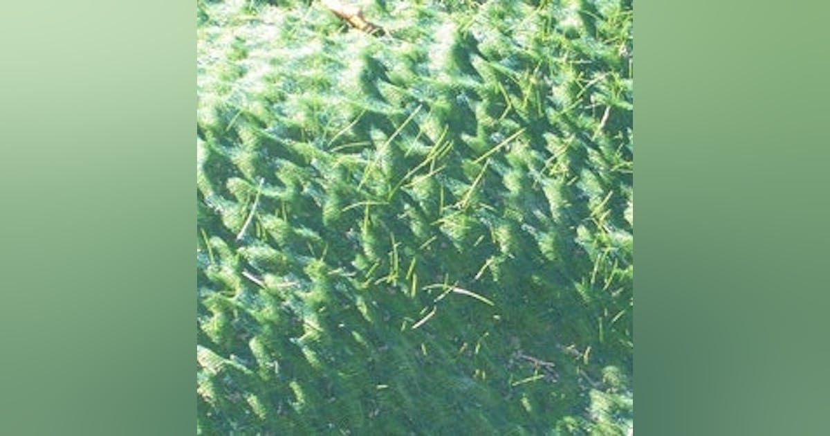 Turf Reinforcement Mat Stormwater Solutions