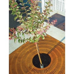 Storm Water Management | Stormwater Solutions