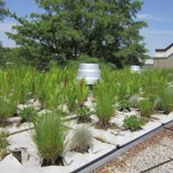 Runoff Capture | Stormwater Solutions