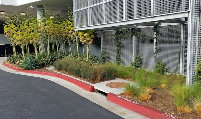 Biofiltration System | Stormwater Solutions