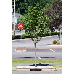 Storm Water Filtration | Stormwater Solutions