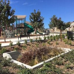 Filterra® Bioretention | Stormwater Solutions