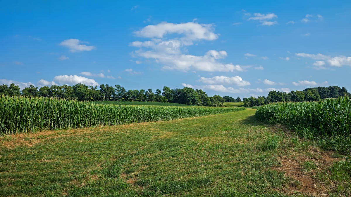 Indiana NRCS accepting applications for farmers’ nutrient, sediment ...