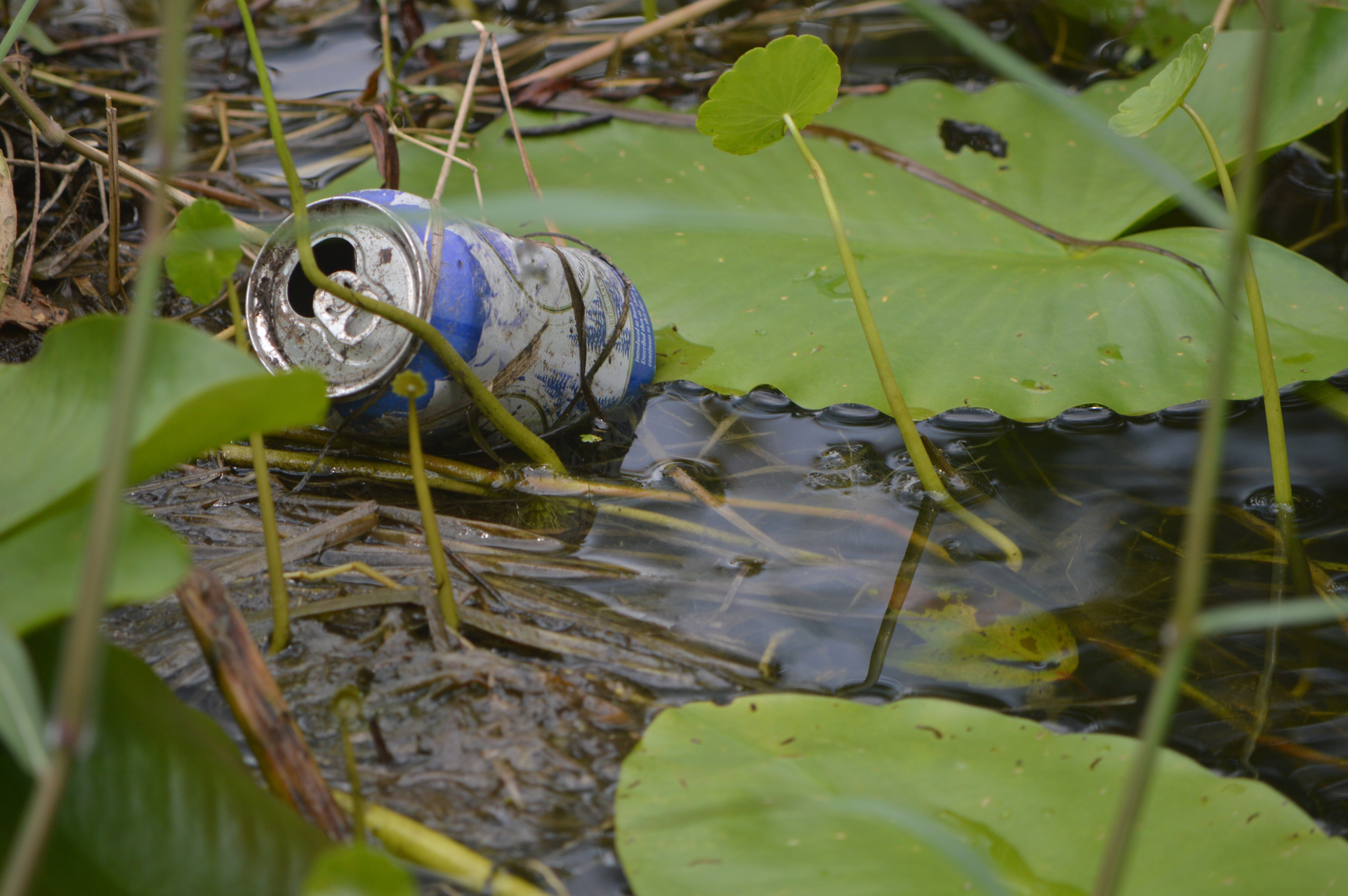Addressing plastics in stormwater: Understanding current BMPs ...