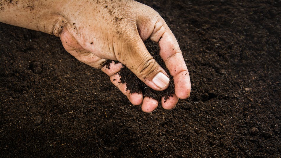Soil pH, organic matter & texture: The key factors for successful ...