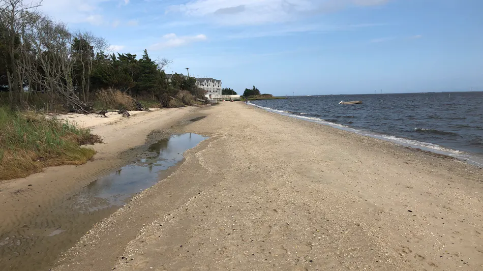 Reviving Little Egg Harbor’s beaches: A story of erosion, restoration ...