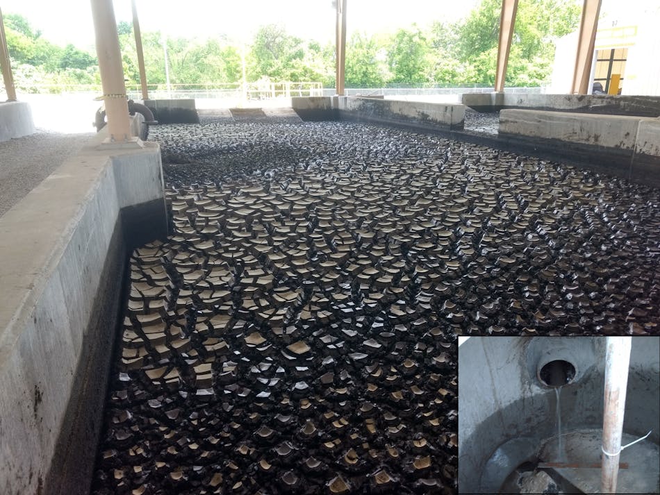 Fighting Pathogen Growth in Industrial Stormwater with ESCS ...