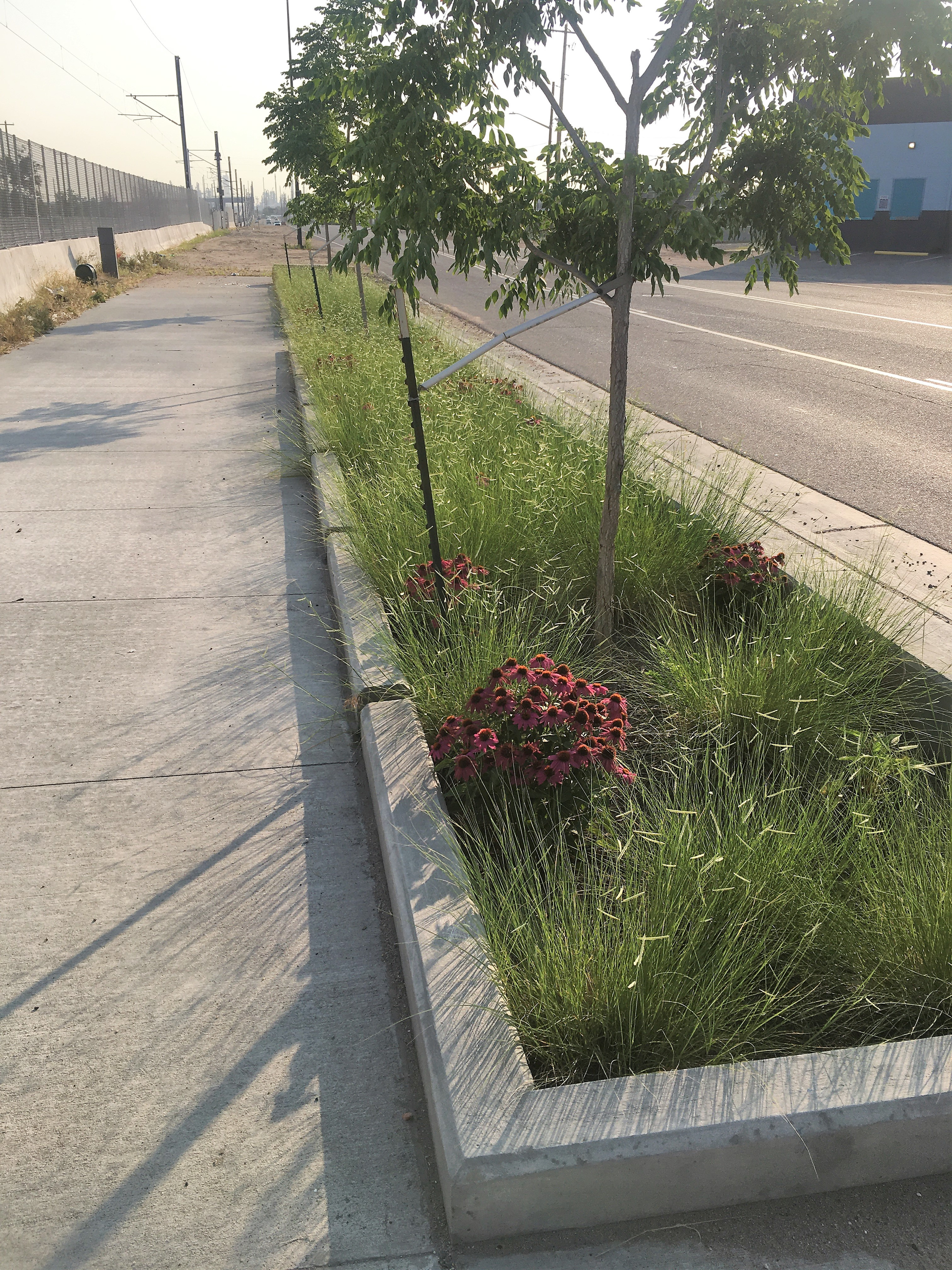 What are the Denver Green Continuum Streets Guidelines? | Stormwater ...