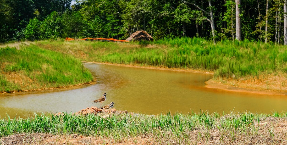 Creating your first MS4 plan? Start here. | Stormwater Solutions